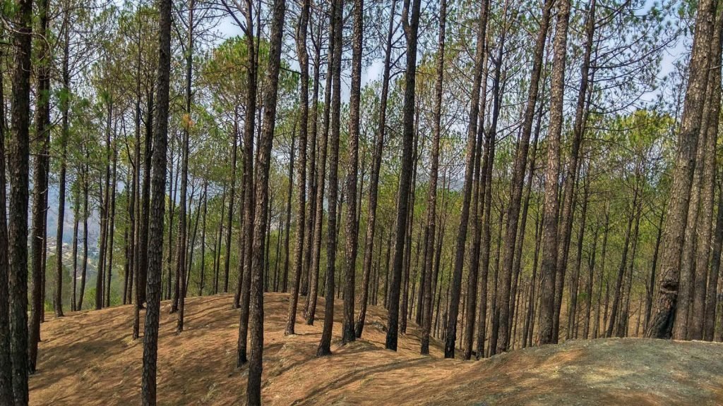 SITE VIEW OF UTTARAKHAND - Devbhoomisamvad.com